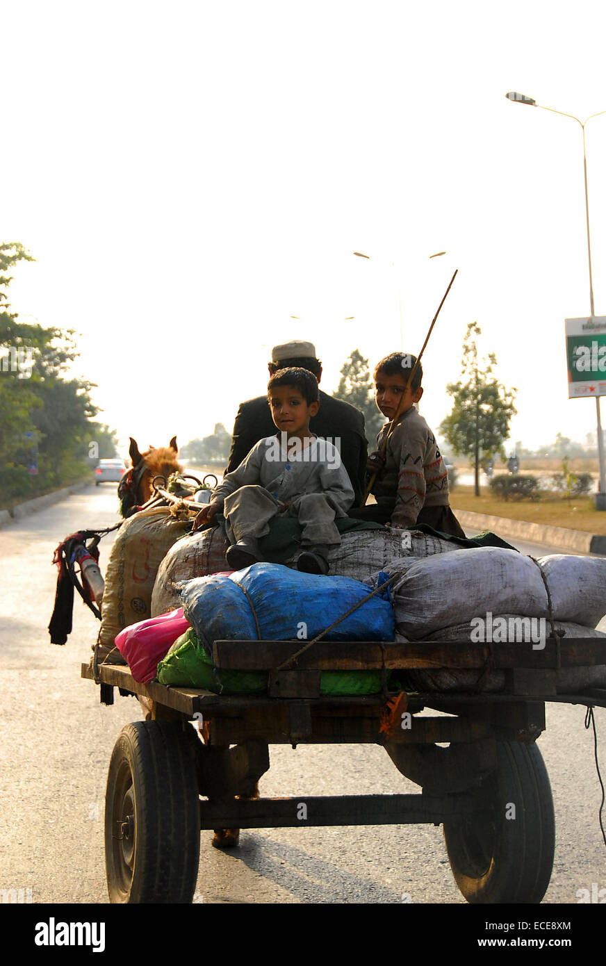 Islamabad, Pakistan. 12th Dec, 2014. Pakistani boys sit on a donkey ...