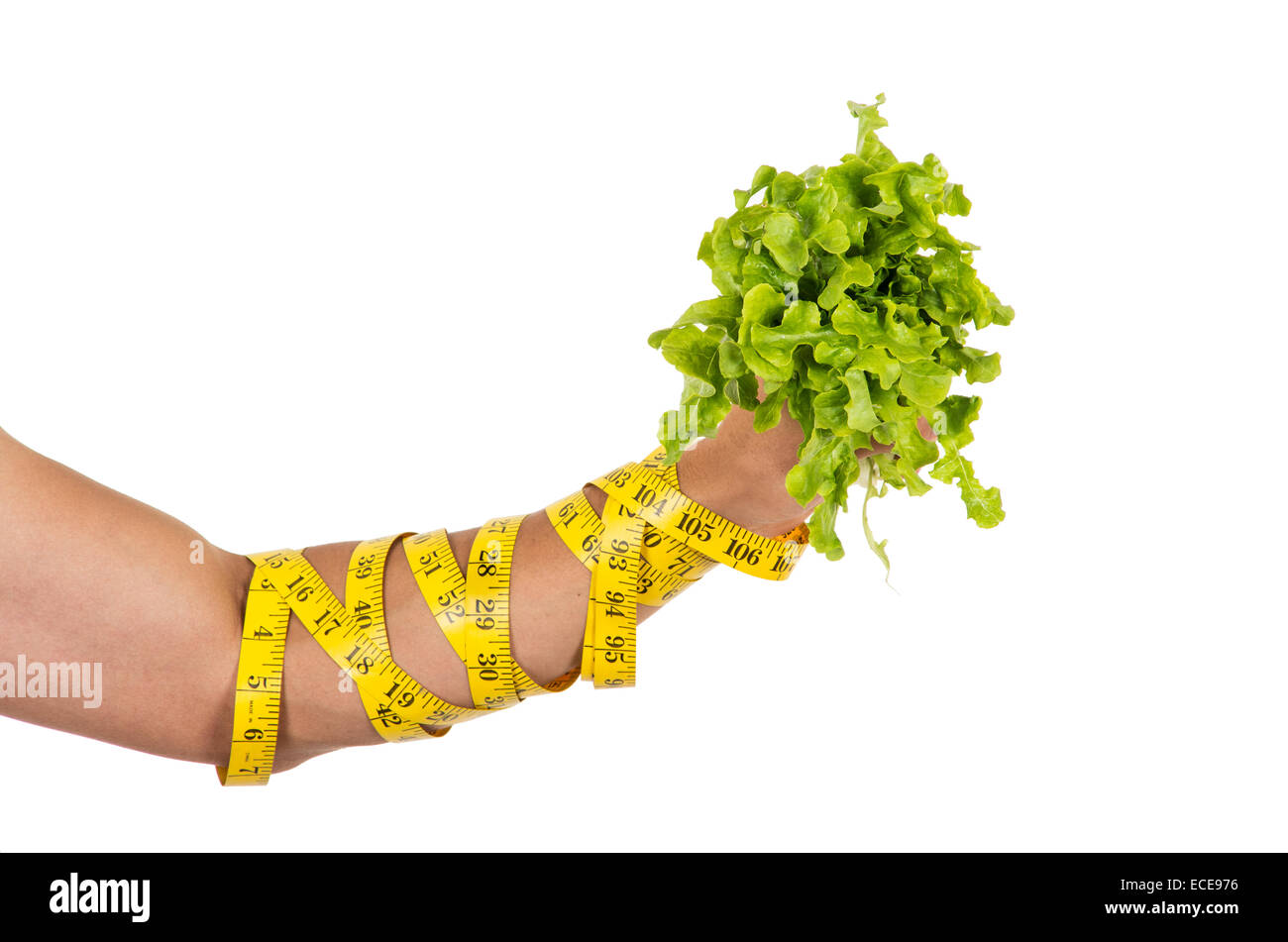man's arm wrapped in measuring tape holding fresh lettuce leaves Stock ...