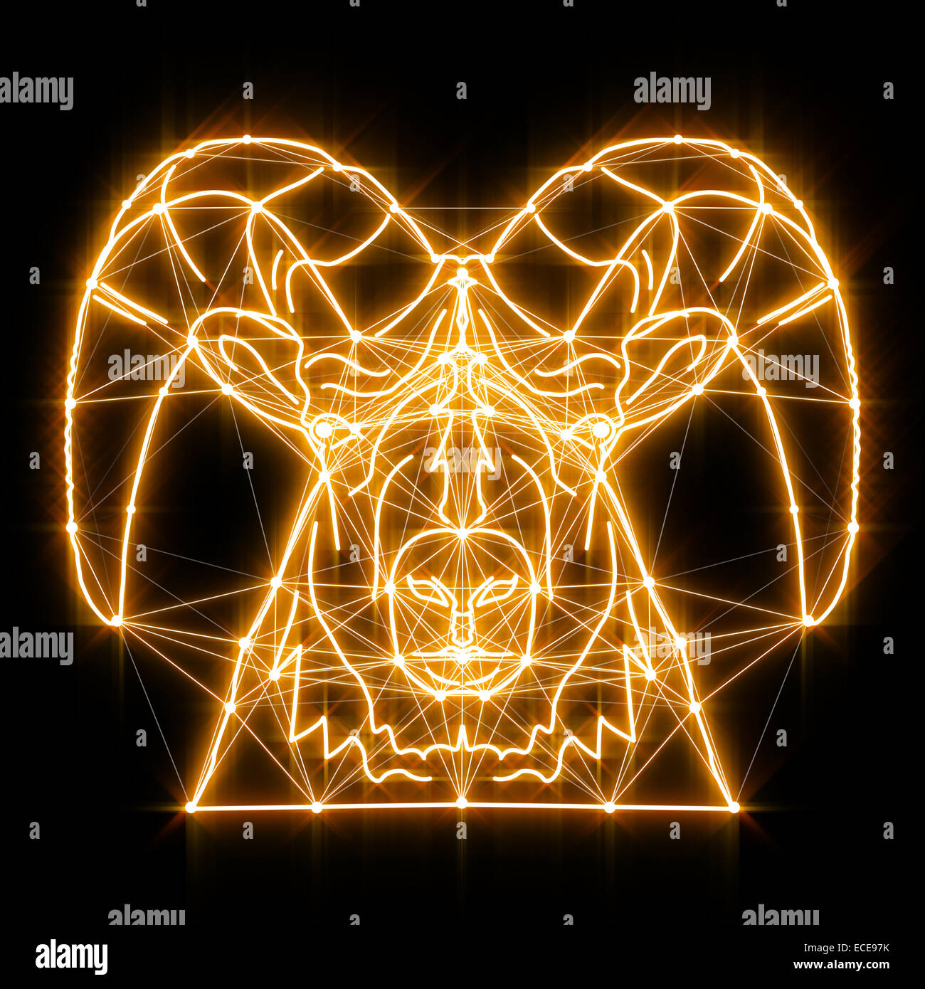 Sheep lines hi-res stock photography and images - Alamy