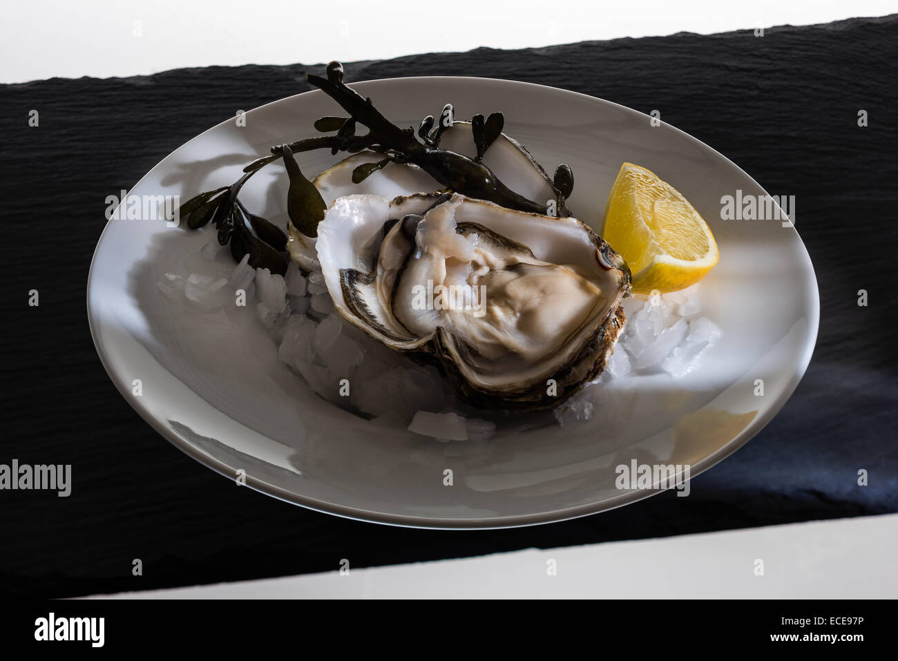 Shell, delicacy, expensive, precious, fine, studio, black background ...