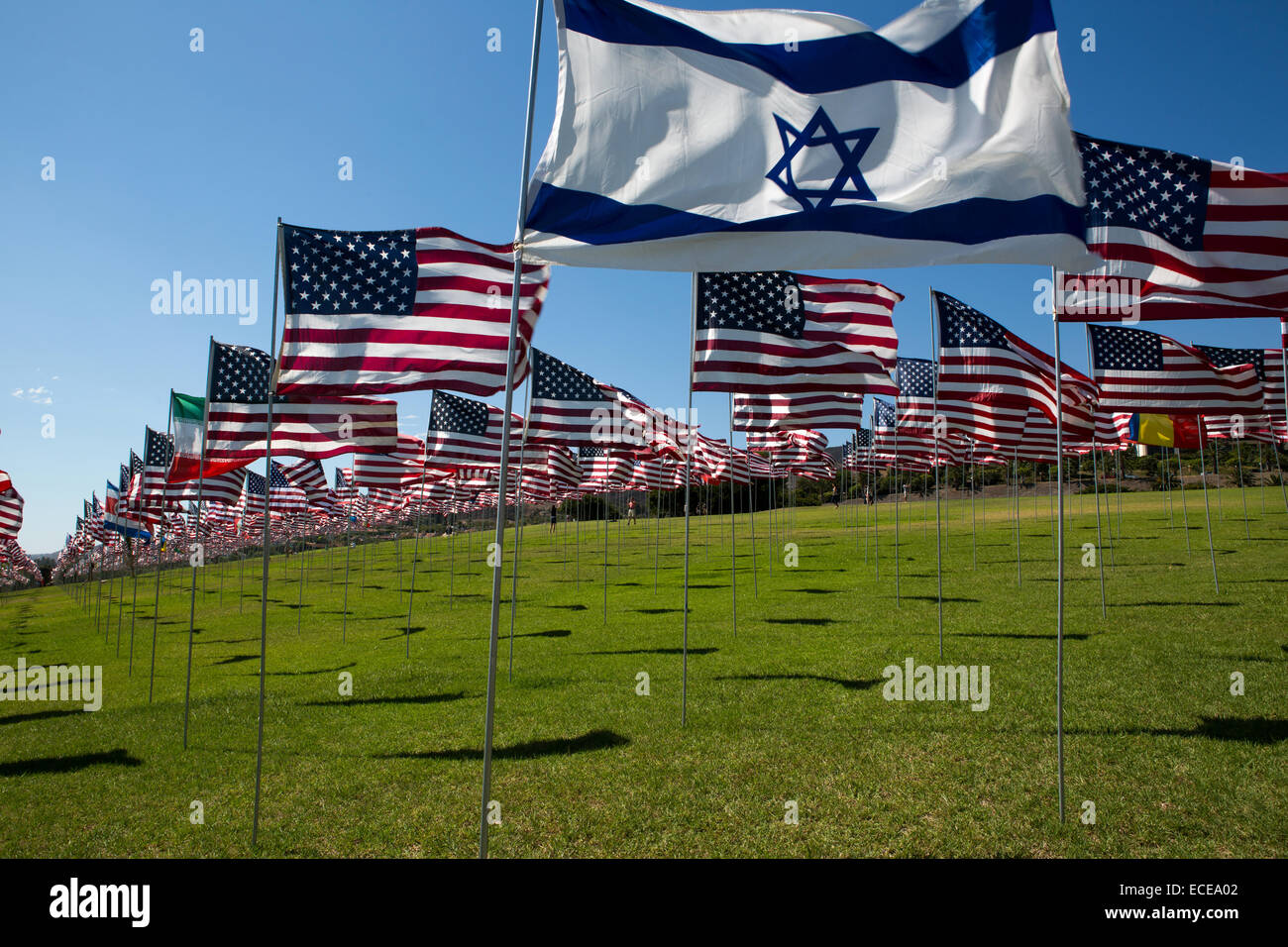 Many American and other flags in memorial Stock Photo - Alamy
