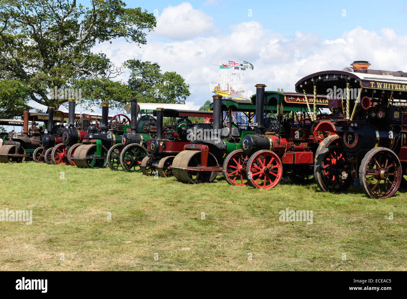 Torbay Steam Fair High Resolution Stock Photography and Images - Alamy