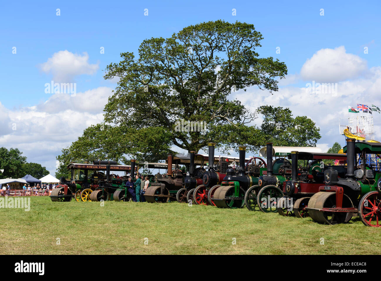 Torbay Steam Fair High Resolution Stock Photography and Images - Alamy