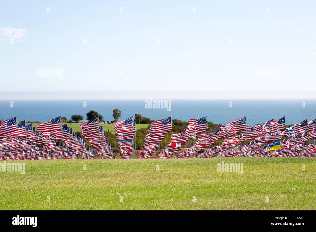 Many American flags in windy weather Stock Photo - Alamy
