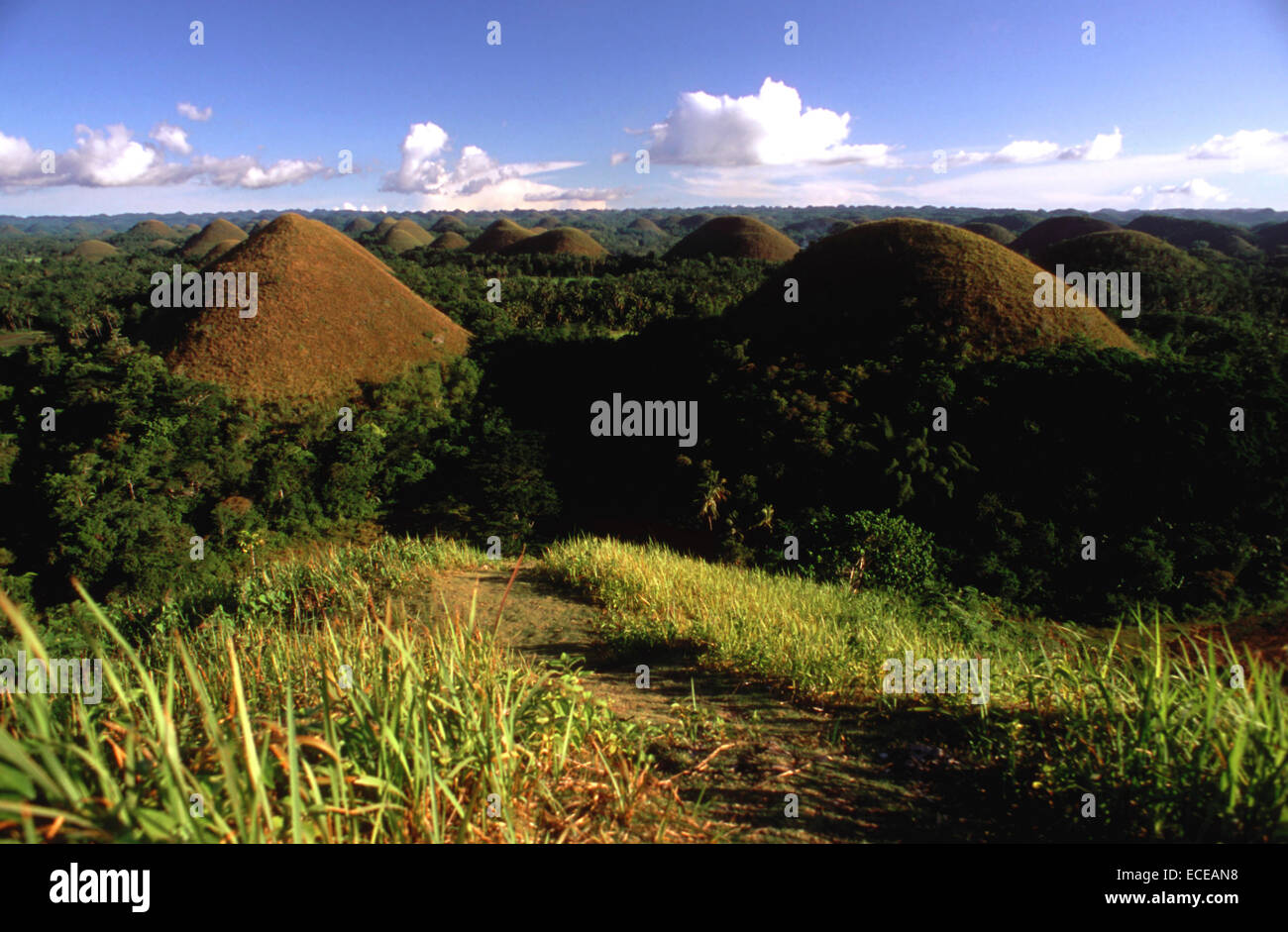Bandera De La Provincia De Bohol