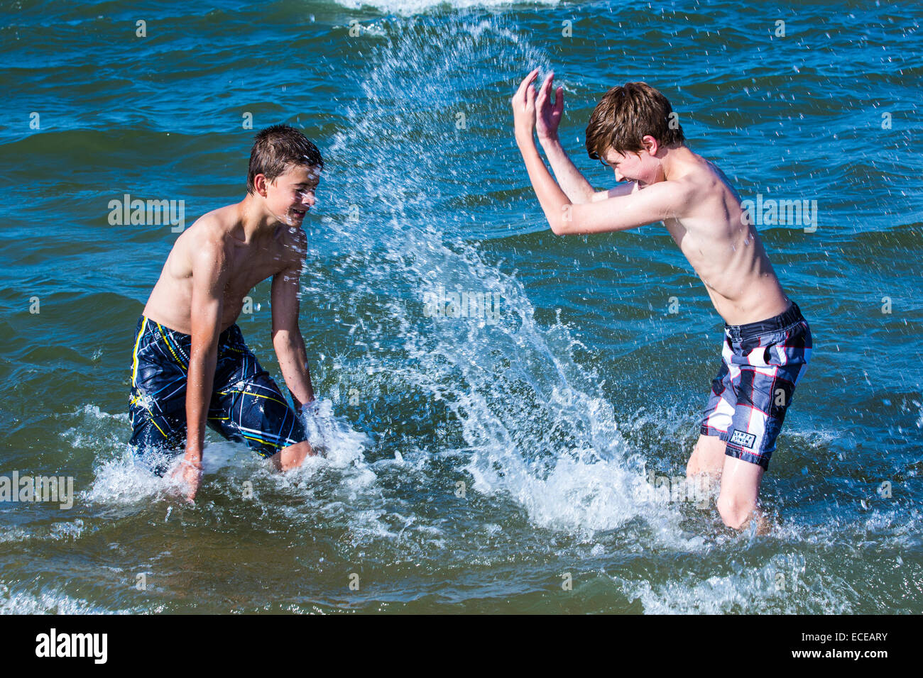 12 Trunks High Resolution Stock Photography and Images - Alamy