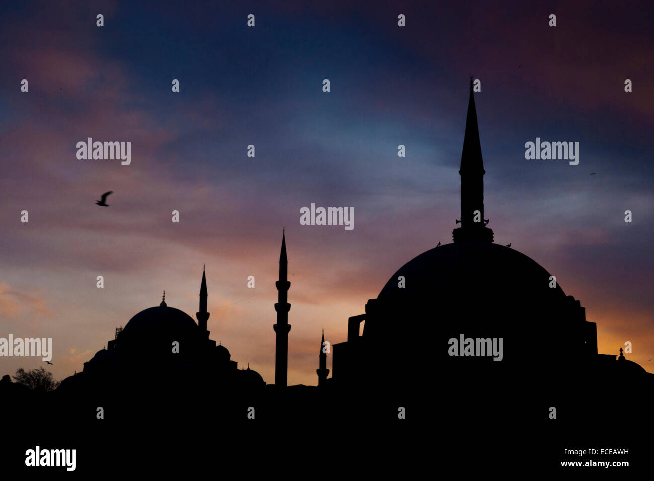 Turkey, Istanbul, Blue mosque at sunset Stock Photo - Alamy