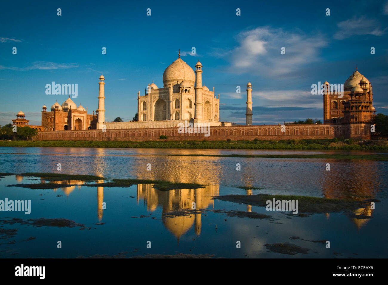 India, Agra, Taj Mahal reflecting in river Stock Photo - Alamy