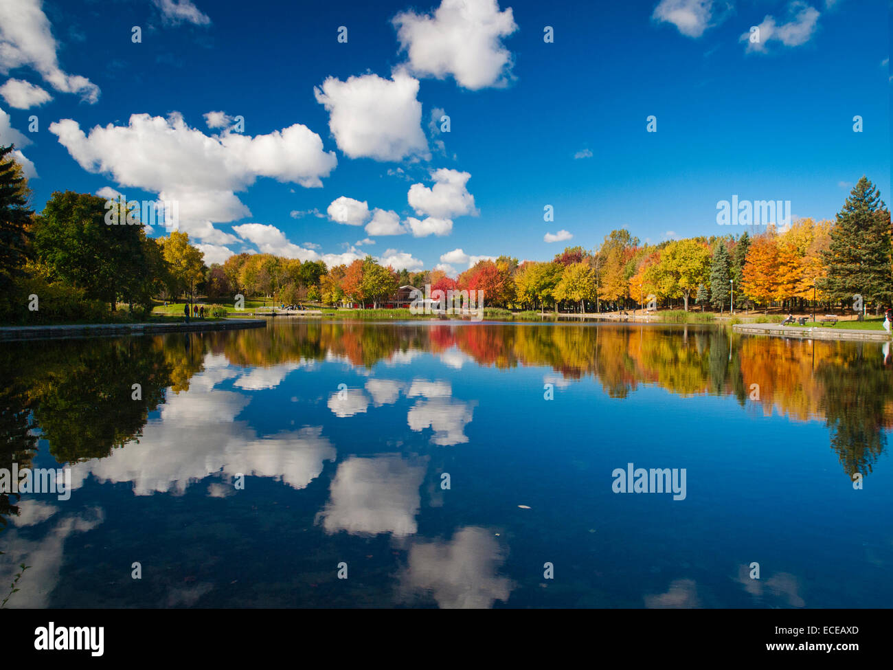 Beaver lake montreal hi-res stock photography and images - Alamy