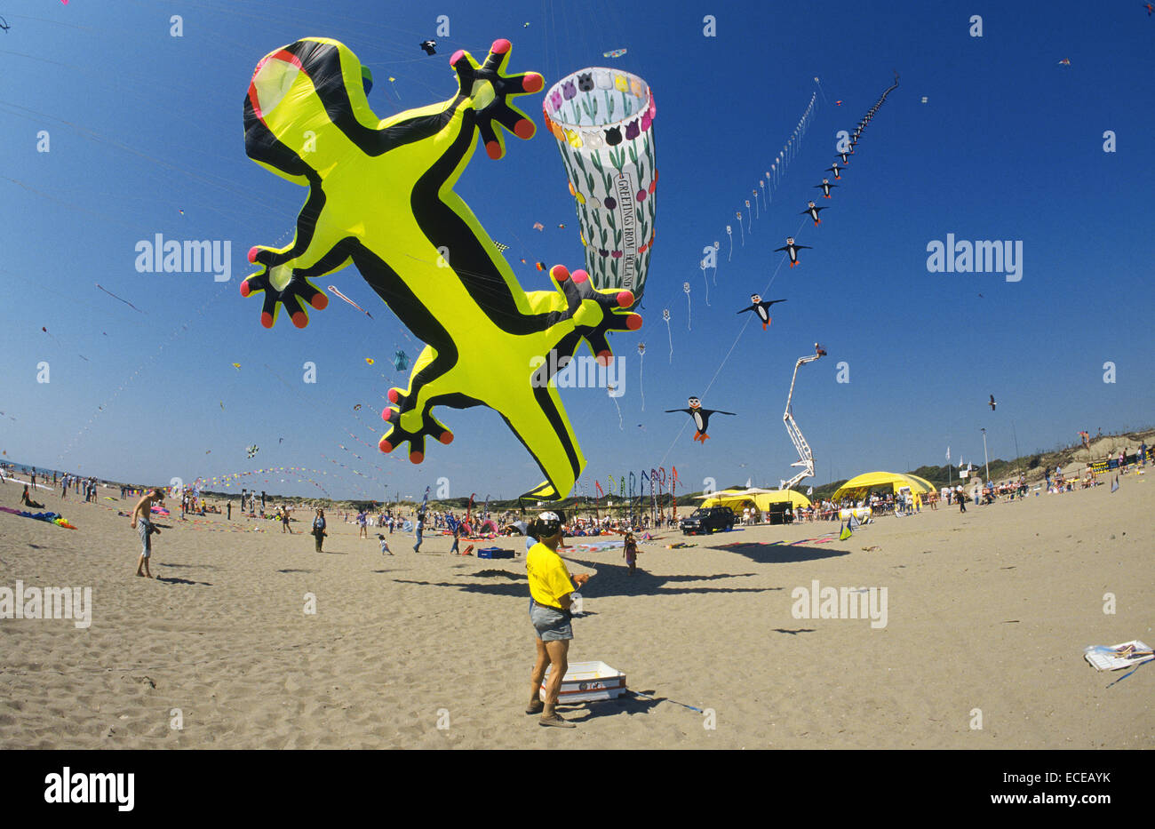 Huge kites hi-res stock photography and images - Alamy