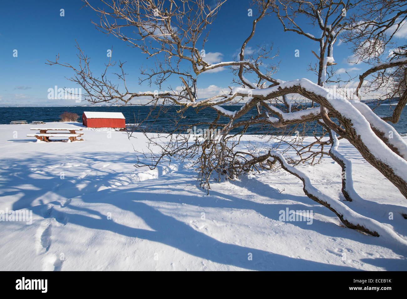Norwegian winter scene hi-res stock photography and images - Alamy