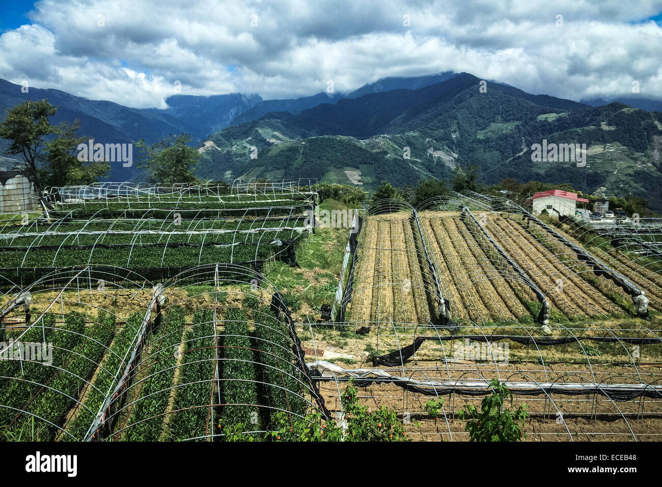 Tranquil farms hi-res stock photography and images - Alamy