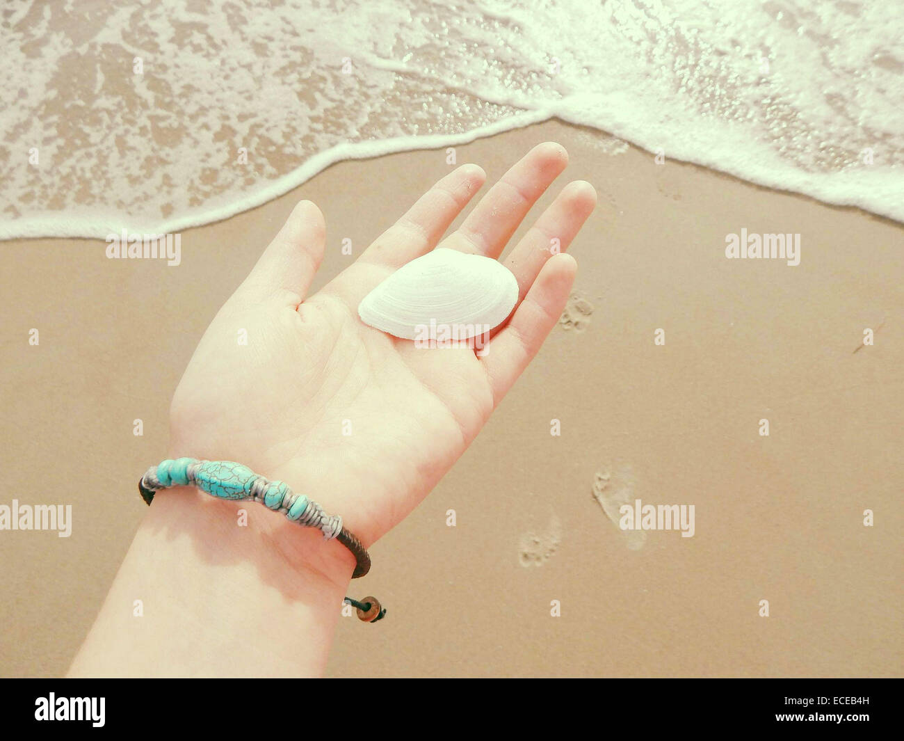 Woman standing on beach holding seashell in her hand Stock Photo - Alamy