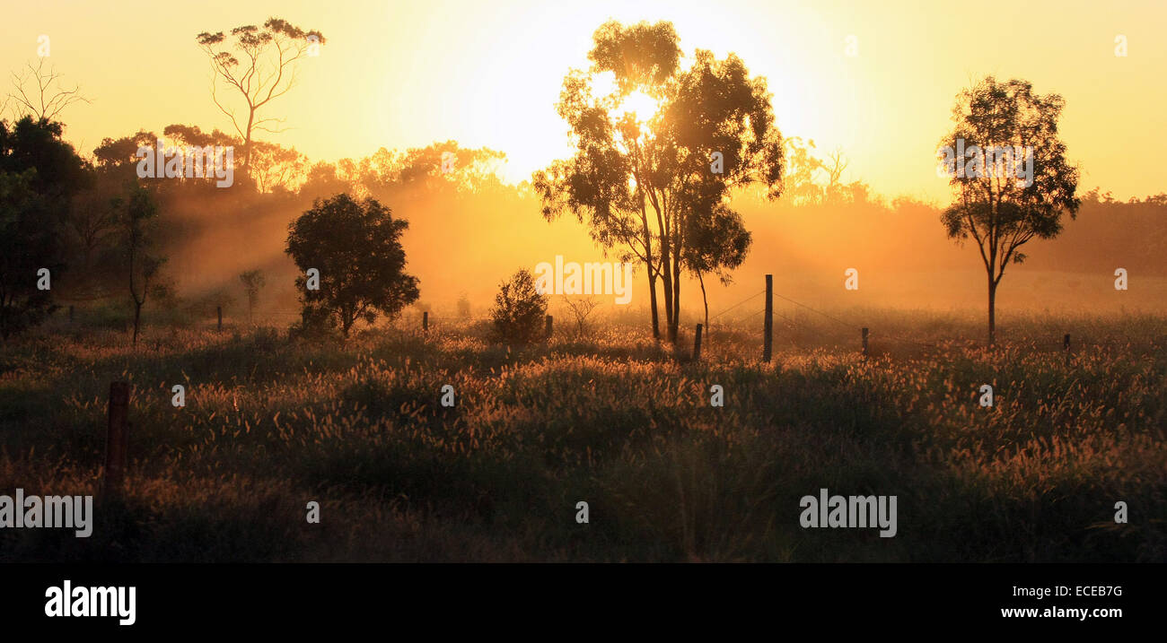 Mount coolon hi-res stock photography and images - Alamy