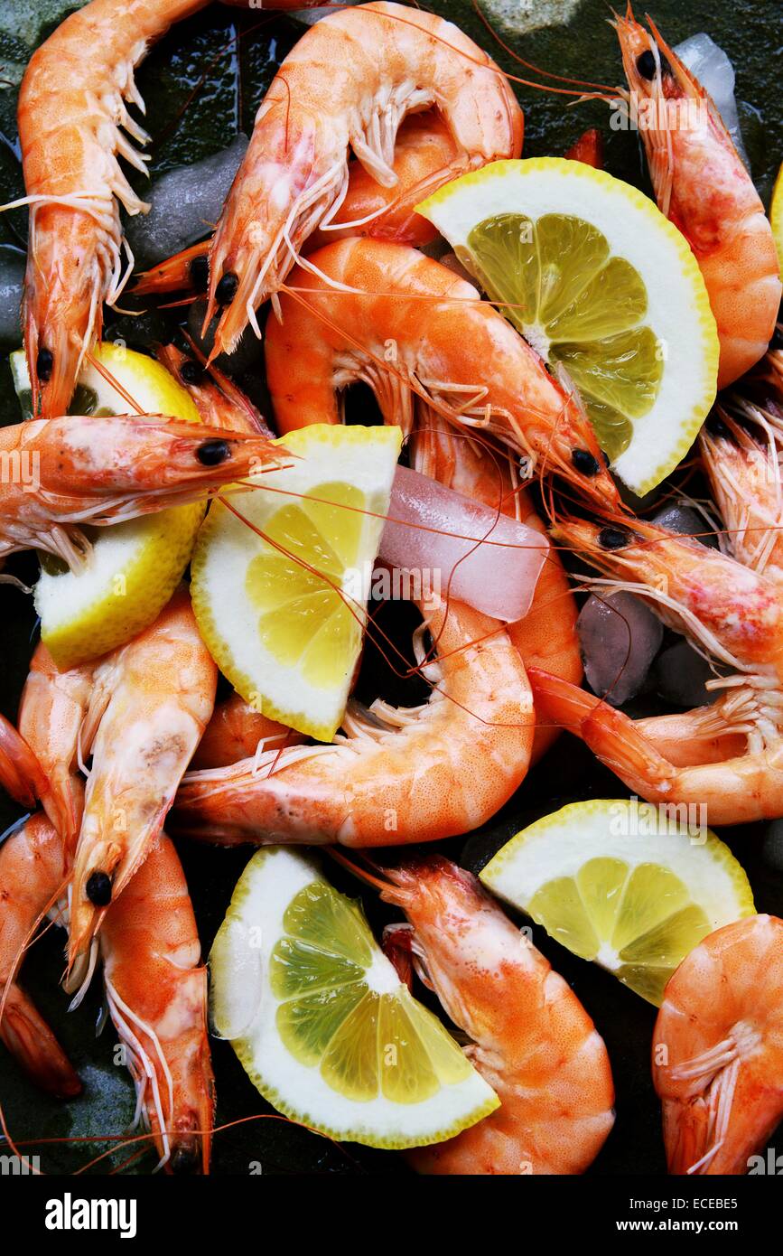Pre cooked shrimps with lemon Stock Photo - Alamy