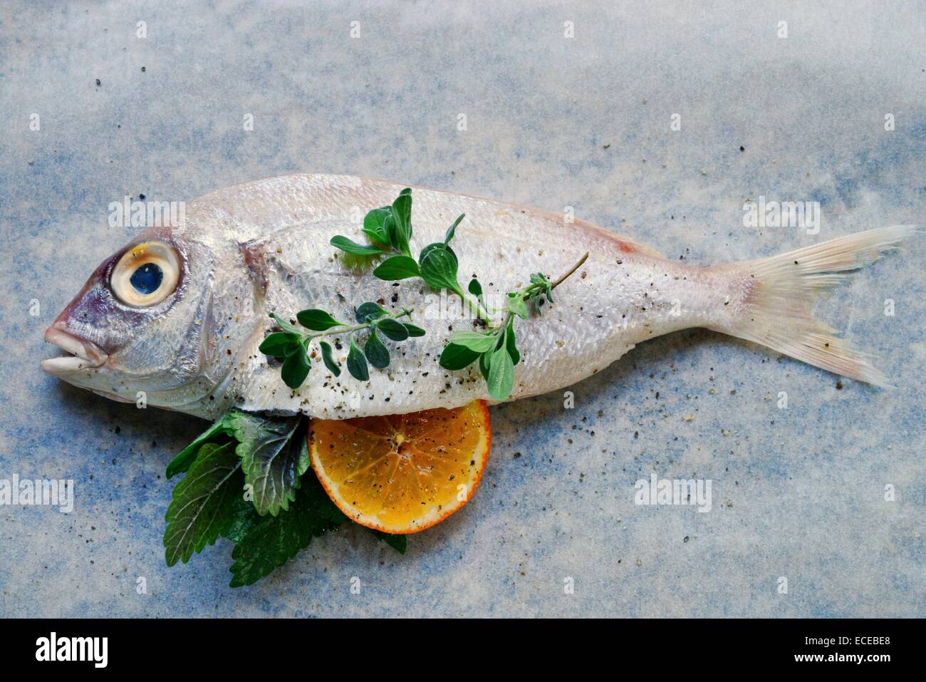 Sea bream with orange and fresh herbs Stock Photo - Alamy