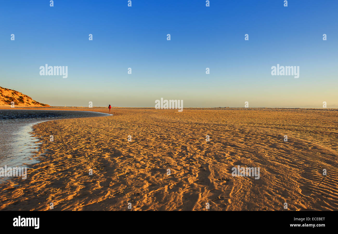 Person standing on beach in distance Stock Photo - Alamy