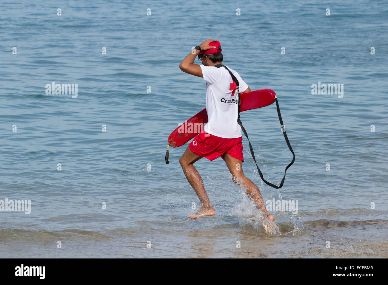 Red Cross Lifeguards and rescue services rescue simulation on beach in ...