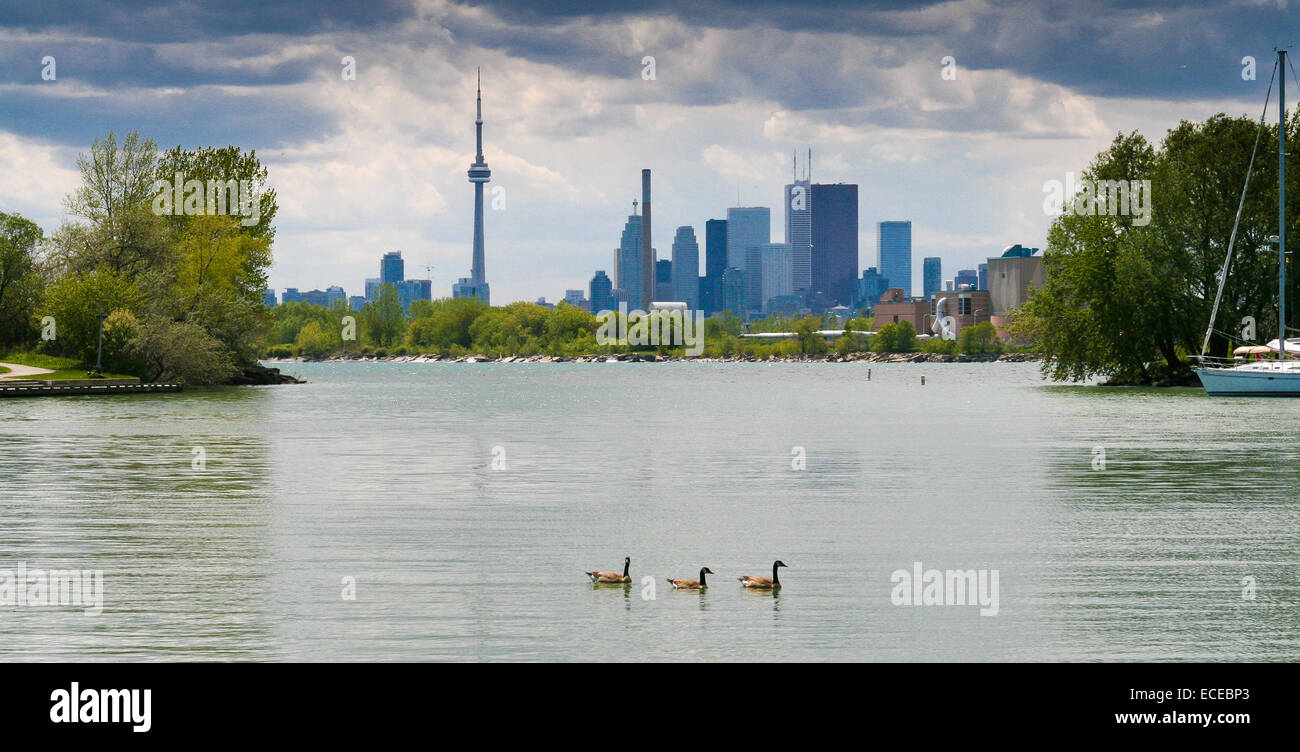 Canada, Ontario, Toronto skyline Stock Photo - Alamy