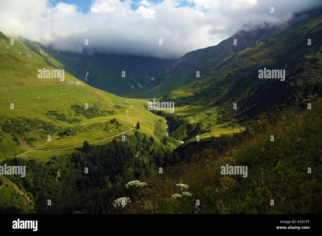 What to see in alps hi-res stock photography and images - Alamy
