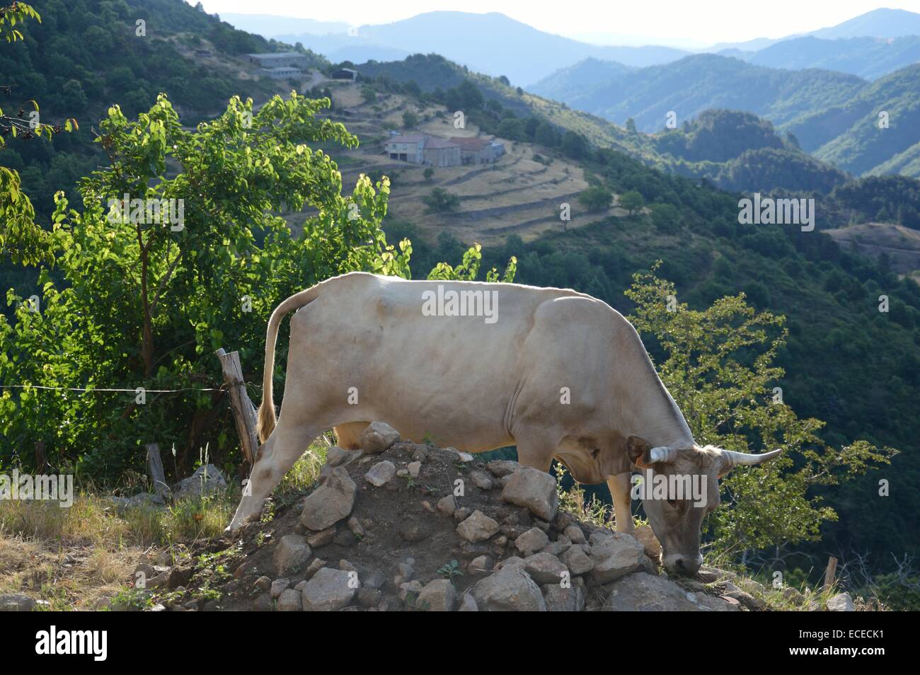 The rural Ardeche region of southern France Stock Photo - Alamy