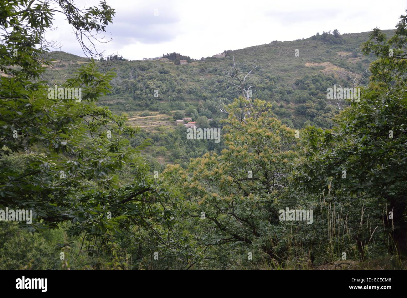 The rural Ardeche region of southern France Stock Photo - Alamy