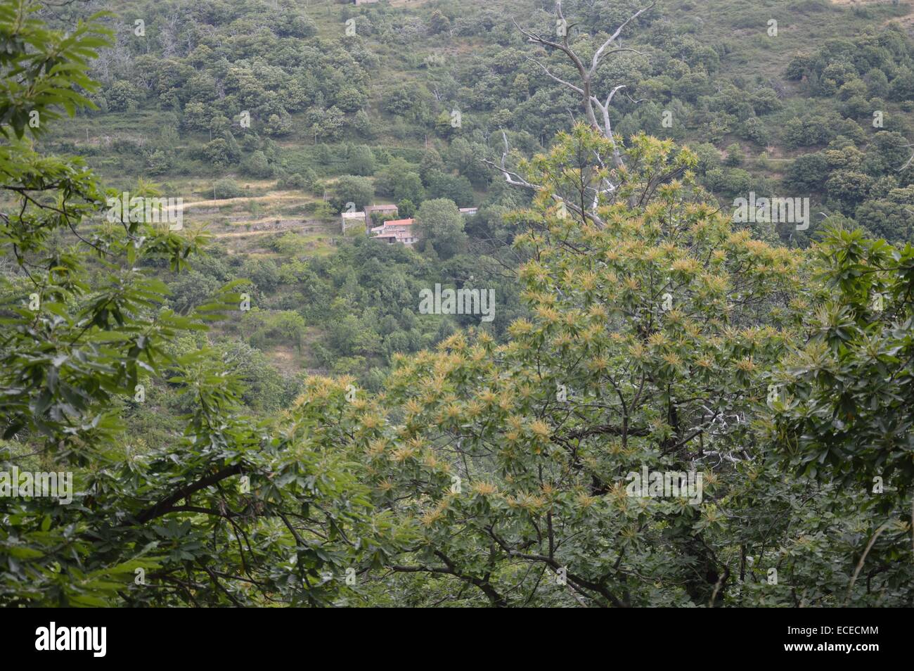 The rural Ardeche region of southern France Stock Photo - Alamy