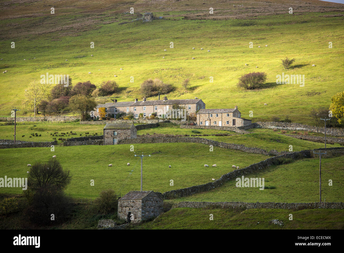 Swaledale autumn hi-res stock photography and images - Alamy