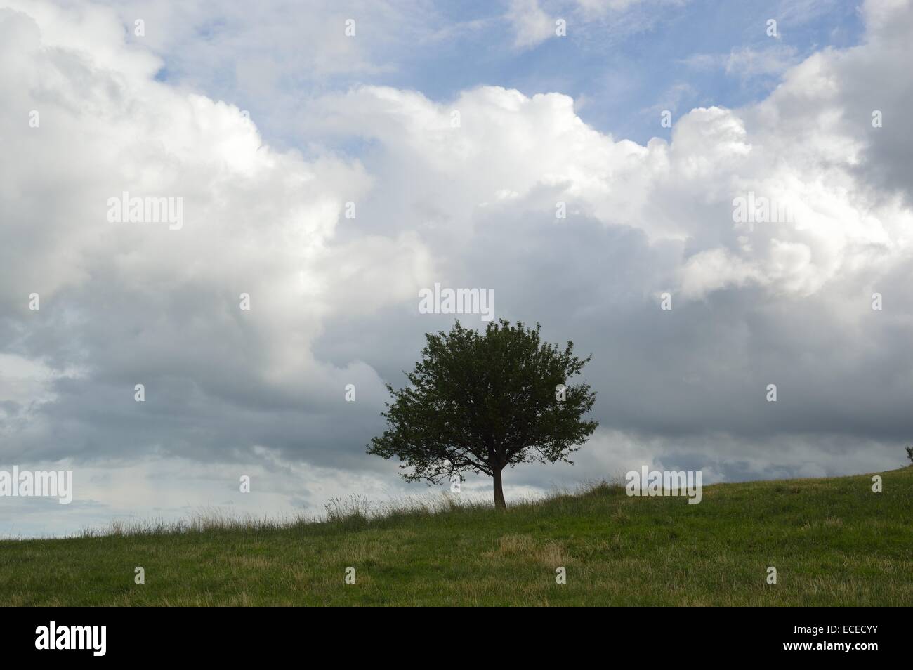The rural Ardeche region of southern France Stock Photo - Alamy