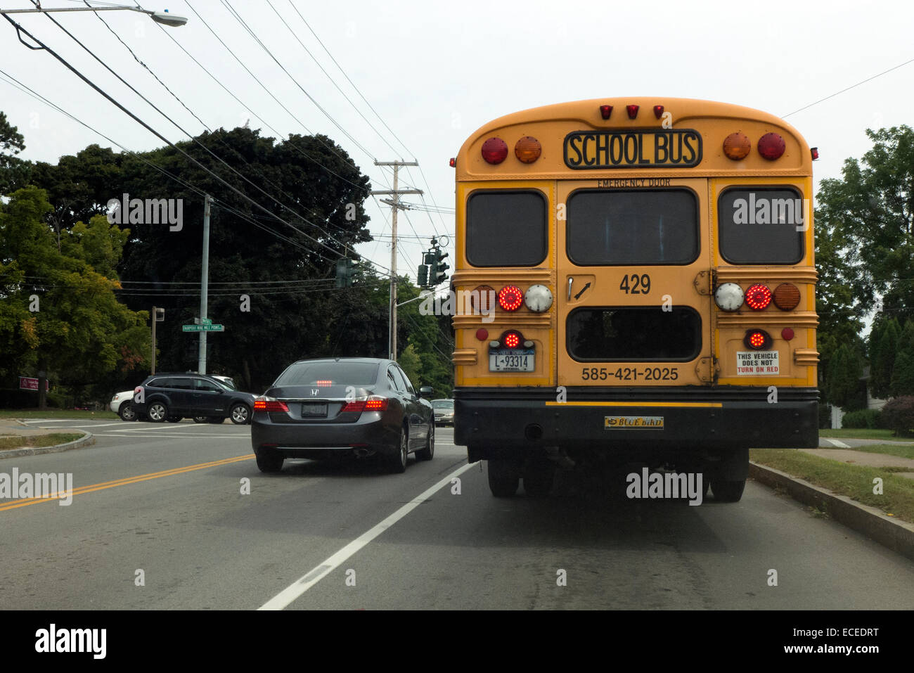 School buses delivering students Stock Photo - Alamy