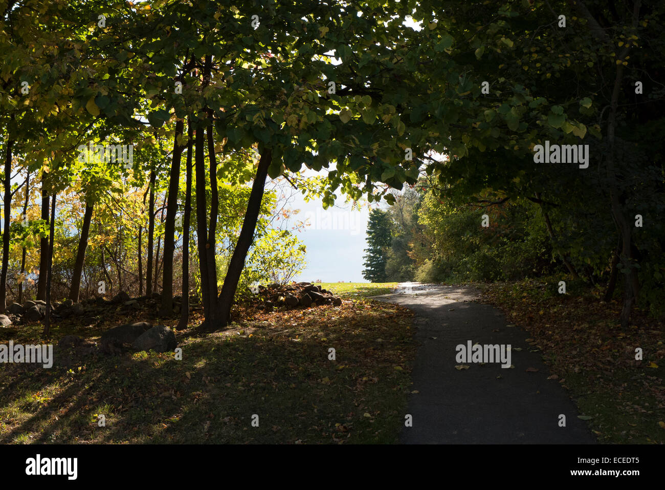 A path into sunshine Stock Photo - Alamy