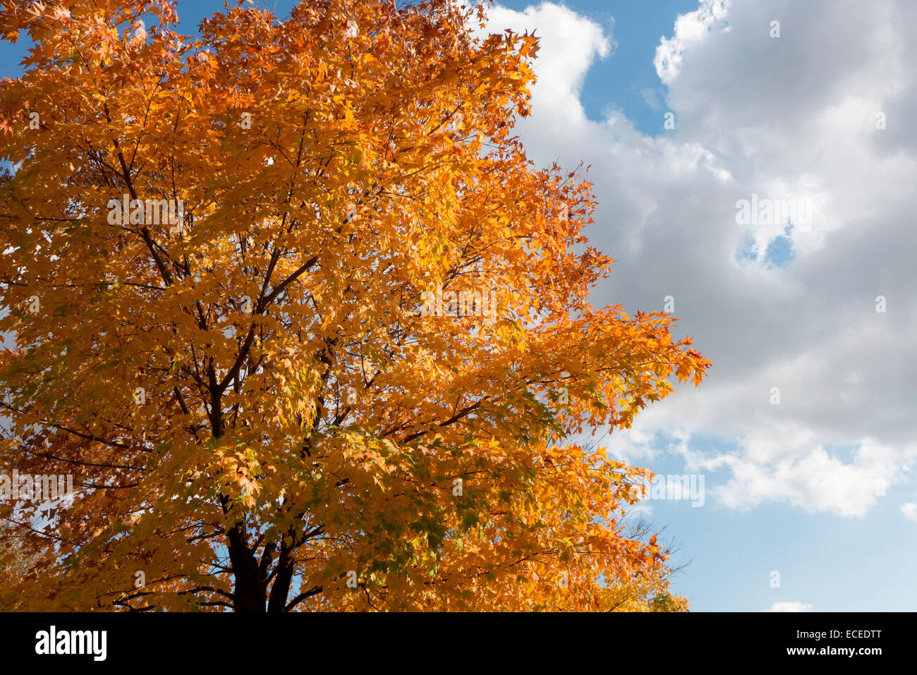 Autumn scene in upstate NY USA Stock Photo - Alamy