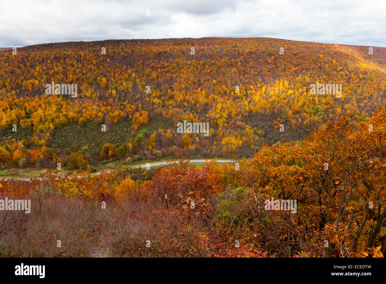 Autumn scene in upstate NY USA Stock Photo - Alamy