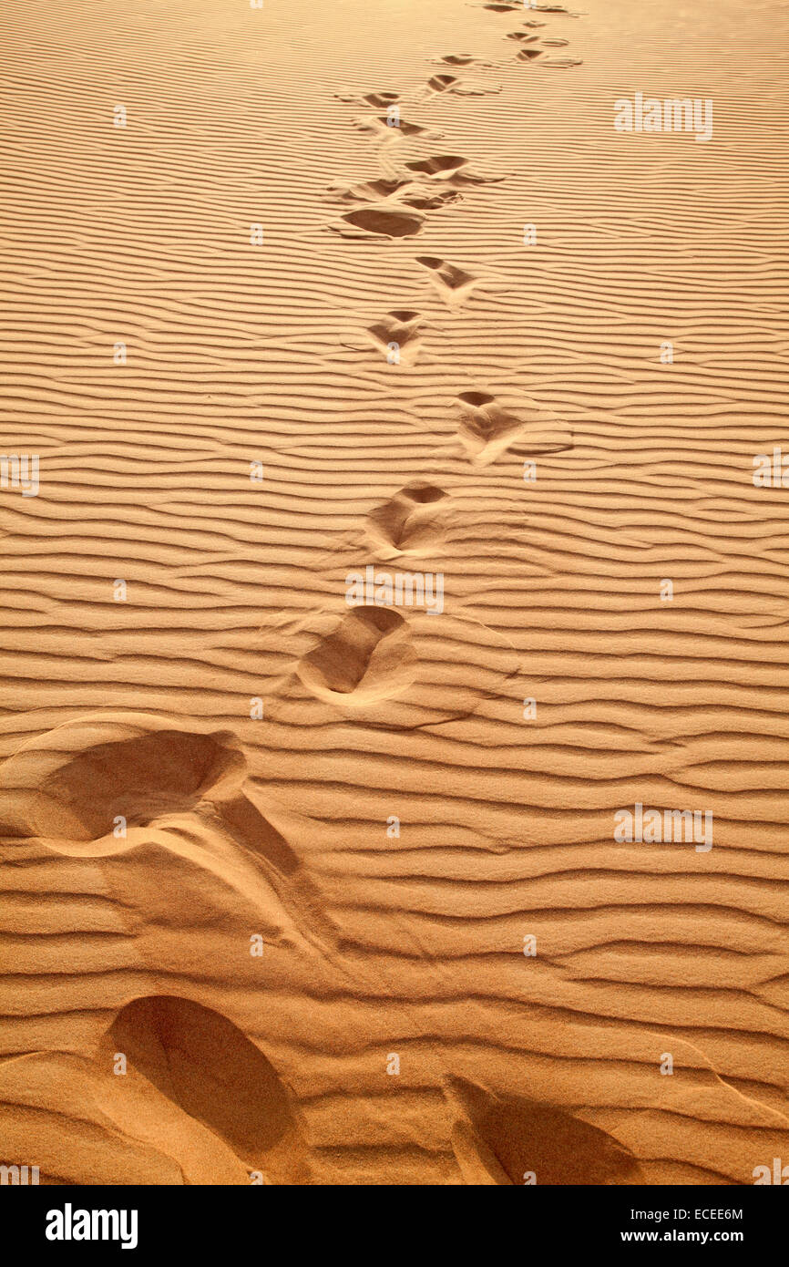 Red sand "Arabian desert" near Dubai, United Arab Emirates Stock Photo ...