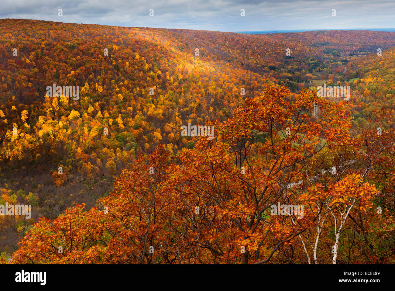 Autumn scene in upstate NY USA Stock Photo - Alamy