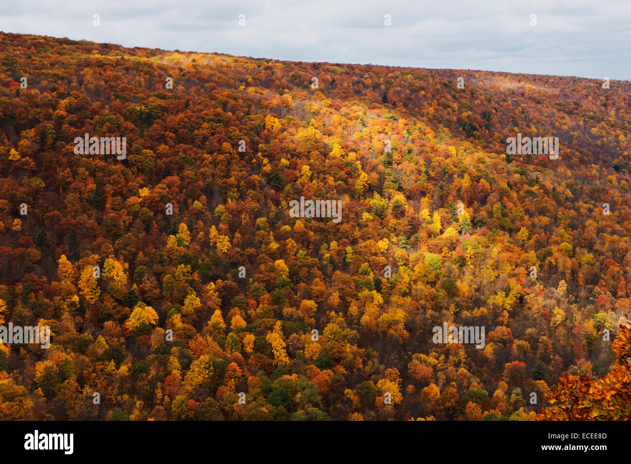 Autumn scene in upstate NY USA Stock Photo - Alamy