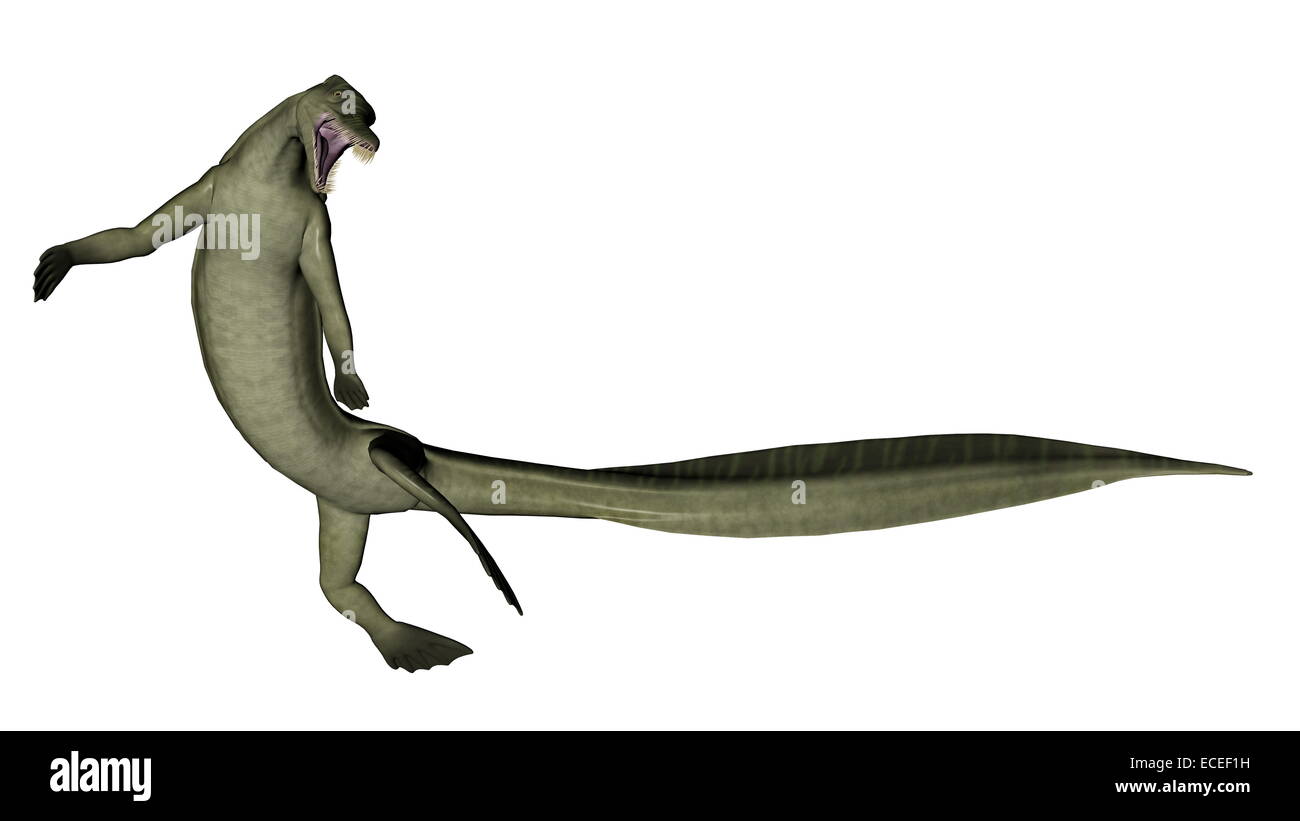 Mesosaurus dinosaur in white background- 3D render Stock Photo - Alamy