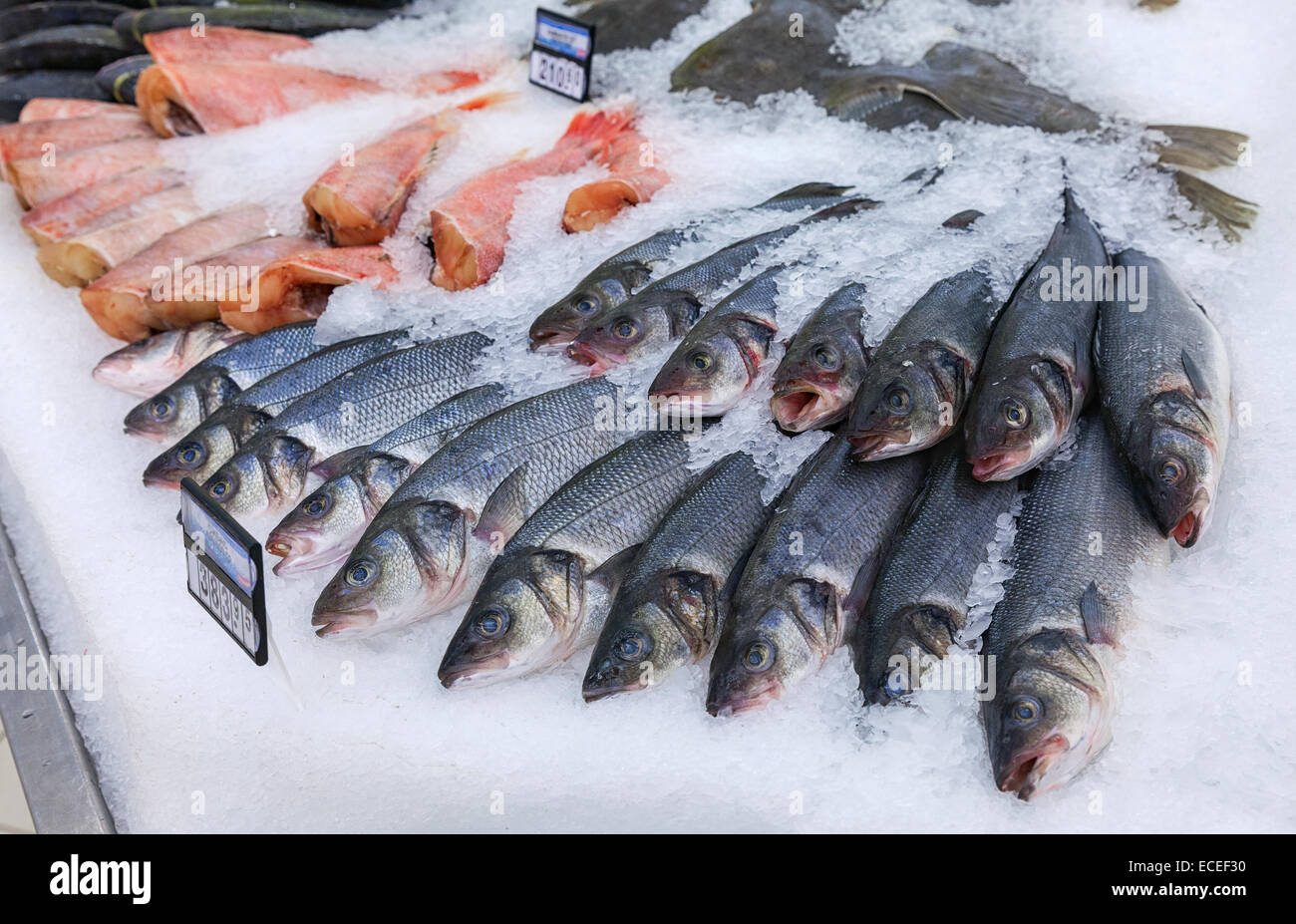 Raw fish ready for sale in the supermarket Magnit. One of largest food ...