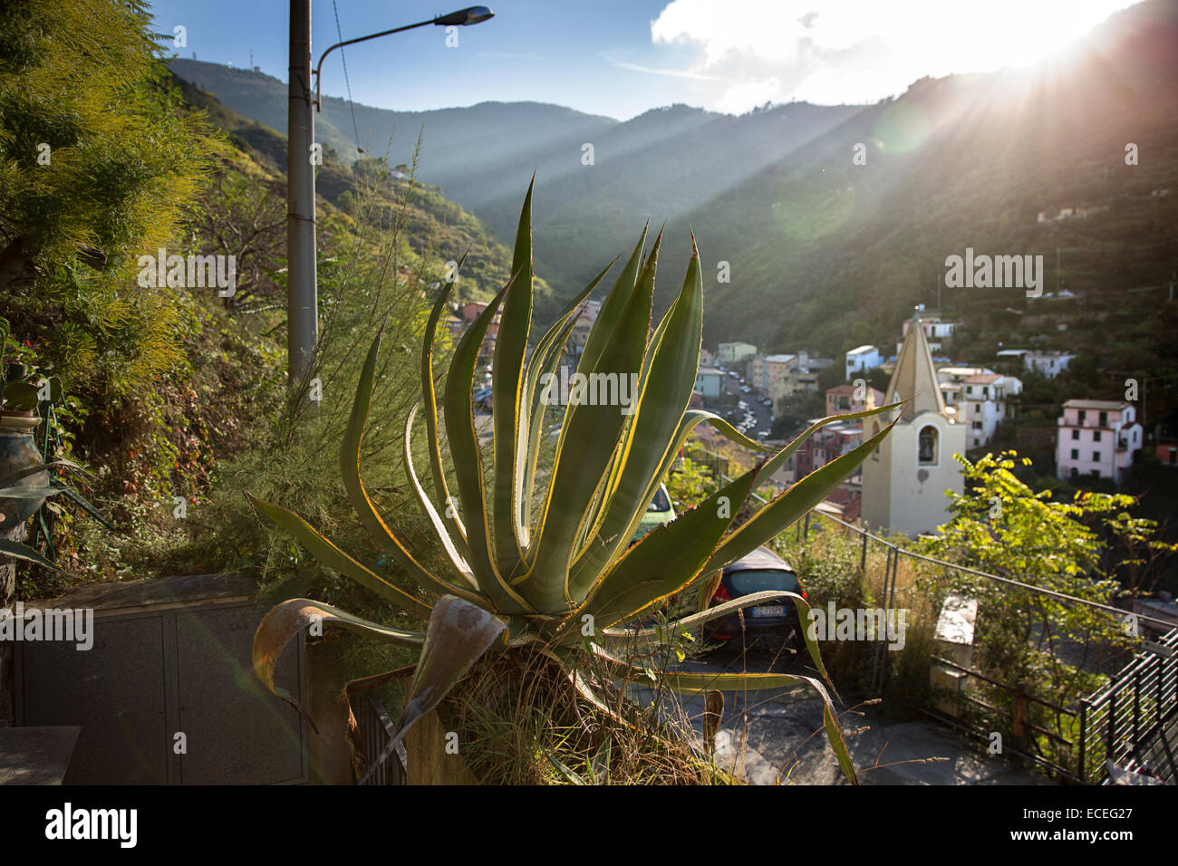 Riomaggiore in cinque terre italy hi-res stock photography and images ...