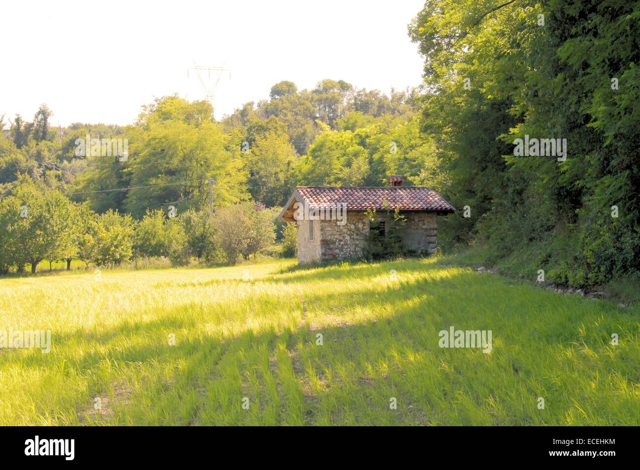 Italian agricolture hi-res stock photography and images - Alamy