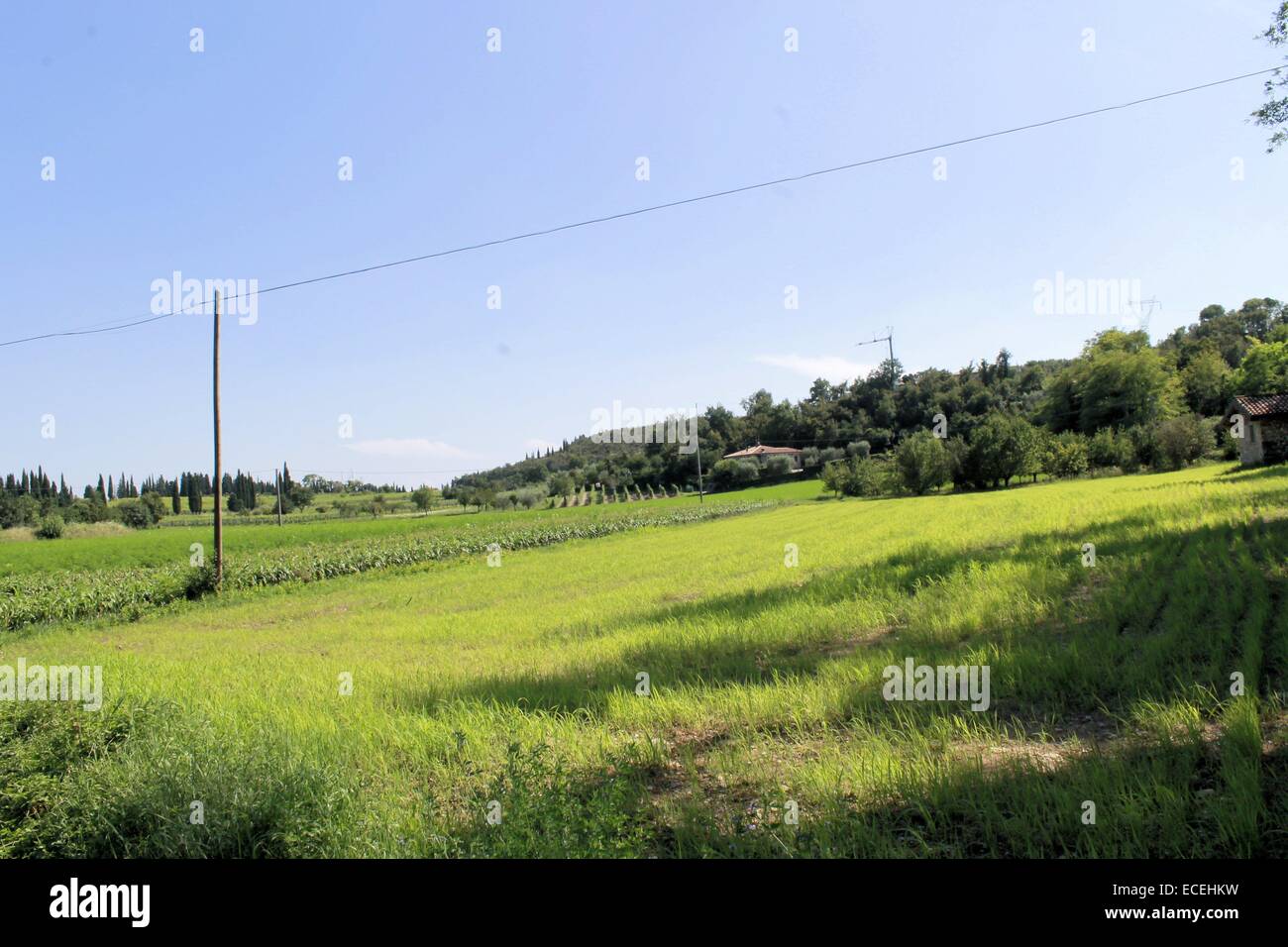 view of green fields in northern Italy Stock Photo - Alamy