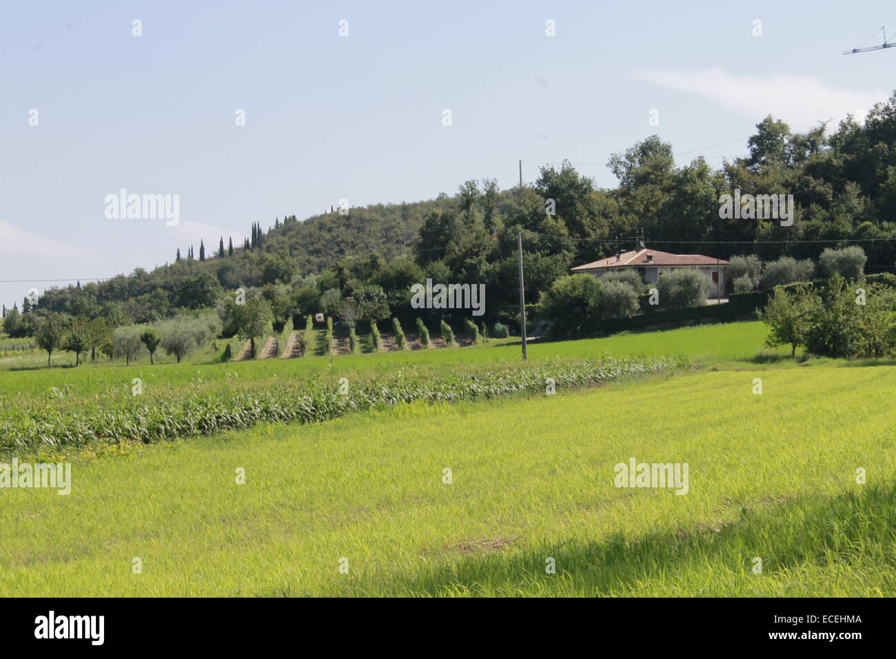 view of green fields in northern Italy Stock Photo - Alamy