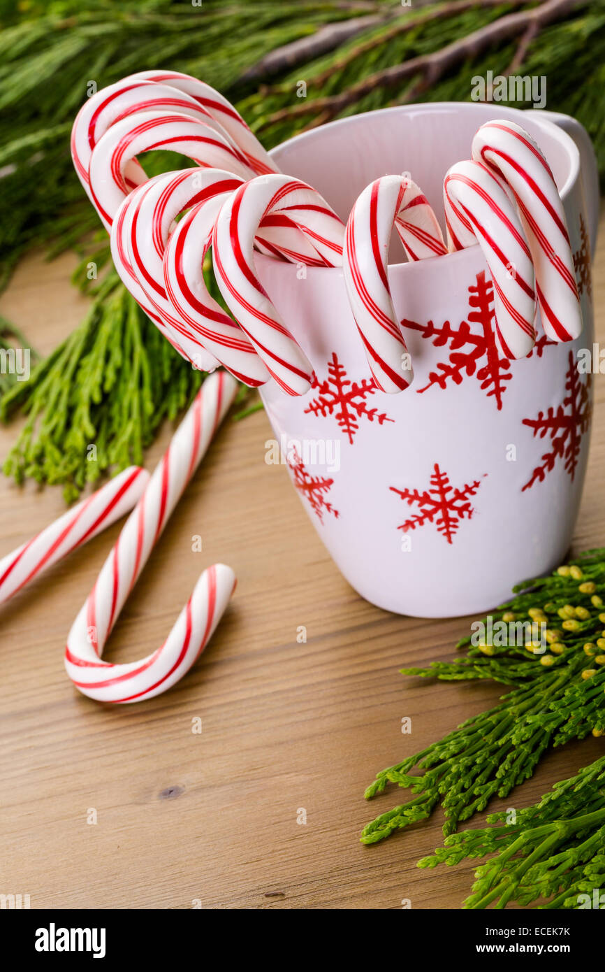 Traditional candycanes on wood table with live evergreen branches Stock ...