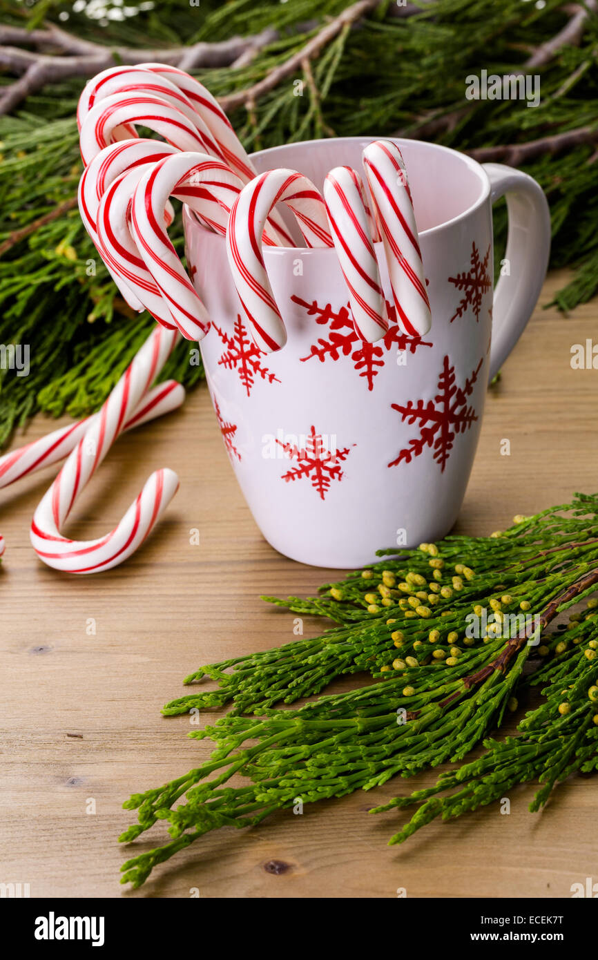Traditional candycanes on wood table with live evergreen branches Stock ...