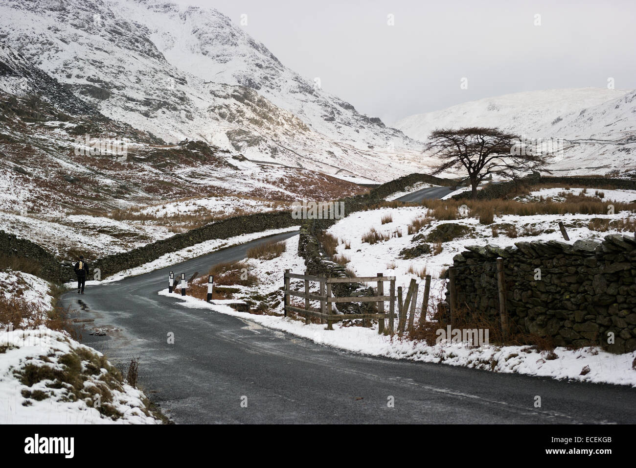 Lake district, Cumbria, UK. 12th December, 2014. A snowy winter scene ...
