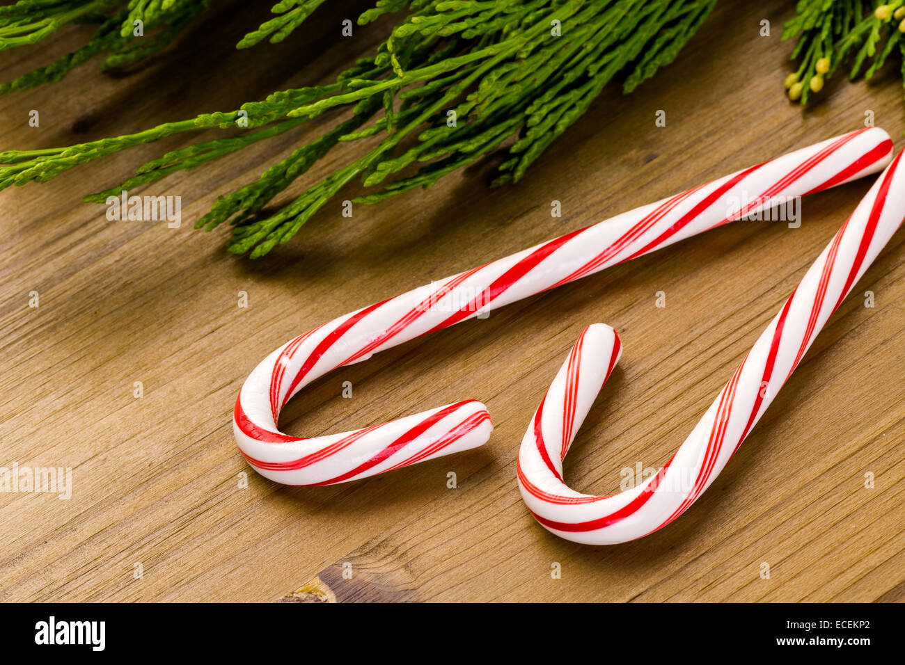 Traditional candycanes on wood table with live evergreen branches Stock ...