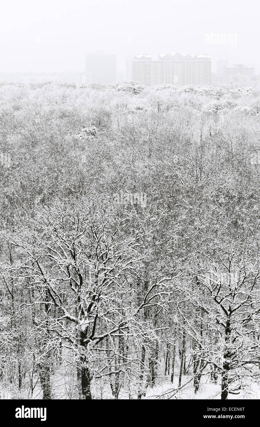 above view of snowbound forest and urban houses in winter snowfall ...
