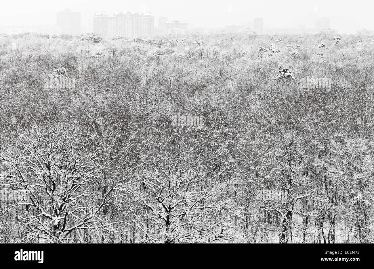 above view of snowbound forest and urban buildings in winter snowfall ...