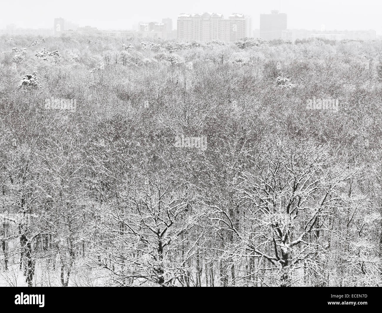 above view of snow forest and urban buildings in winter snowfall Stock ...