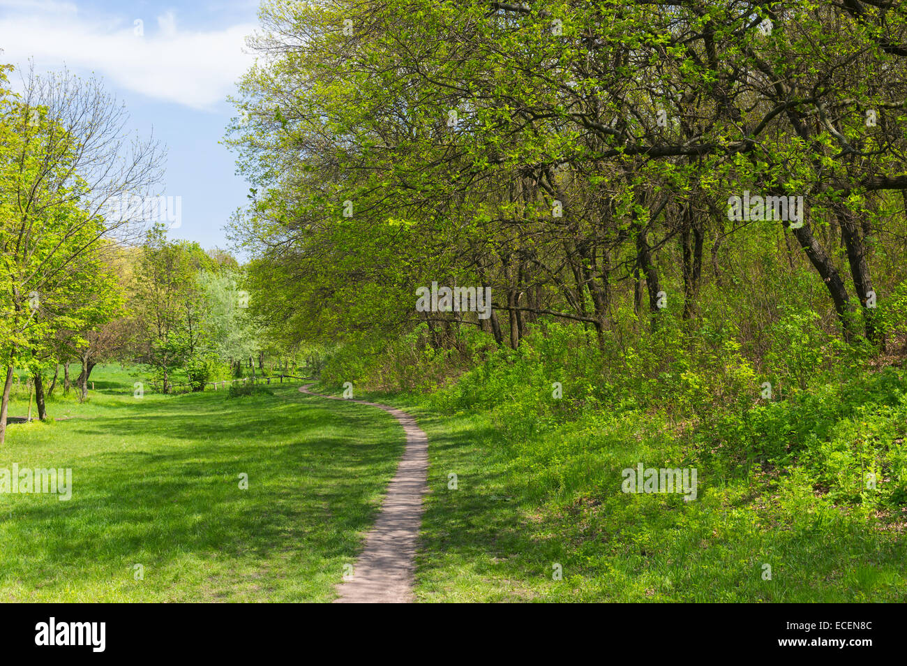Overgrown spring path hi-res stock photography and images - Alamy